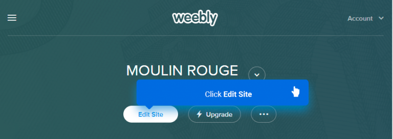Logo HTML Embed Code - LogotypeMaker
